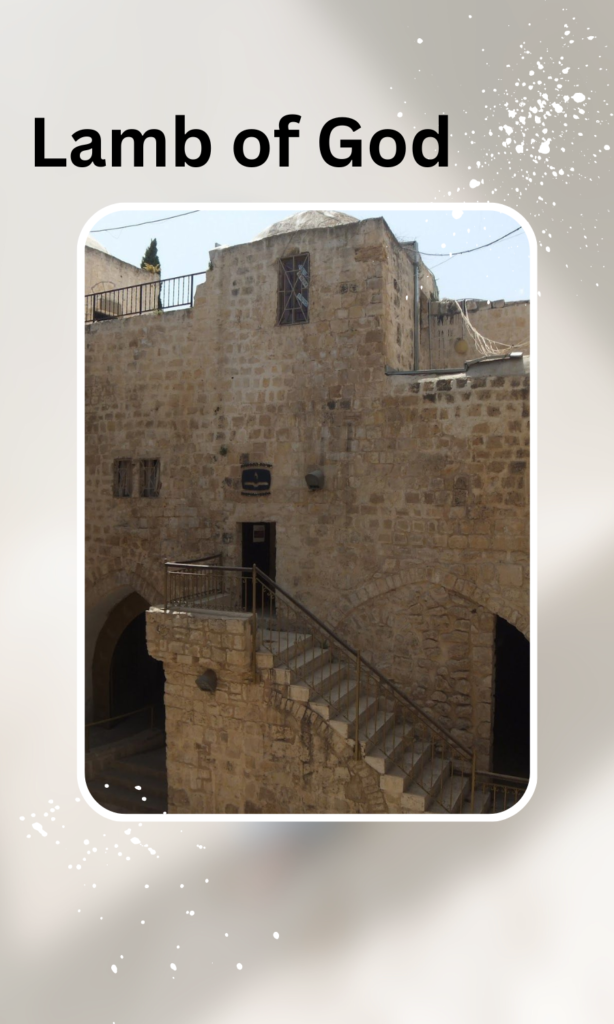 The Passover Lamb - Koinonia Bible Studies